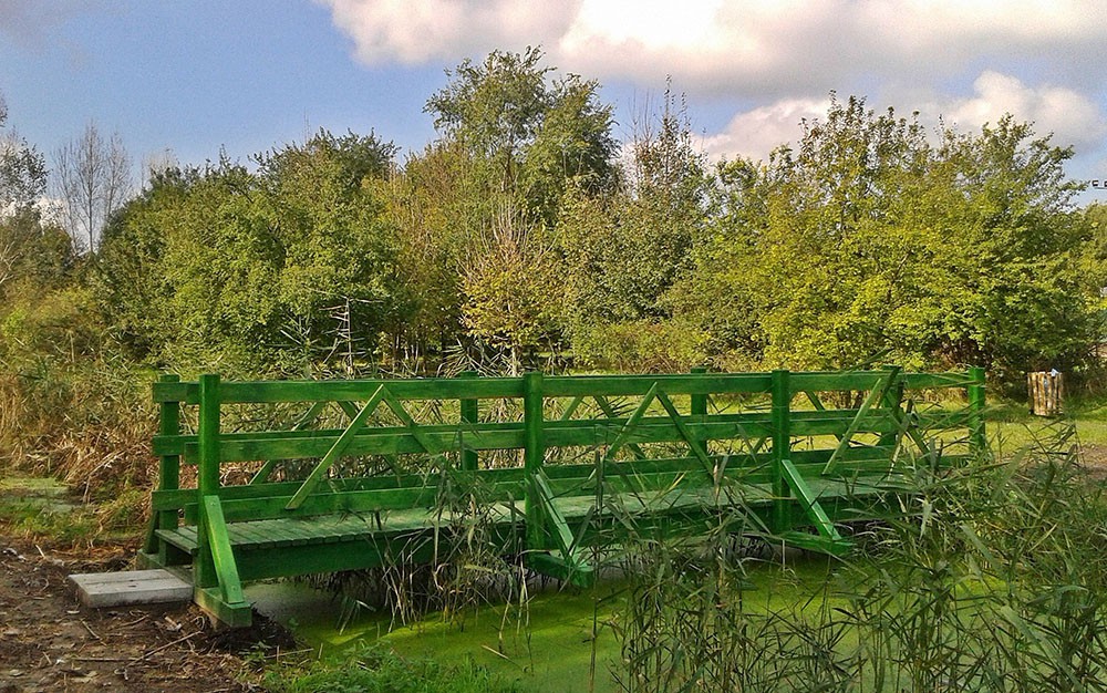A Zöld-híd Halasi Környezetvédők Egyesülete az egyik nyertese a MOL ...