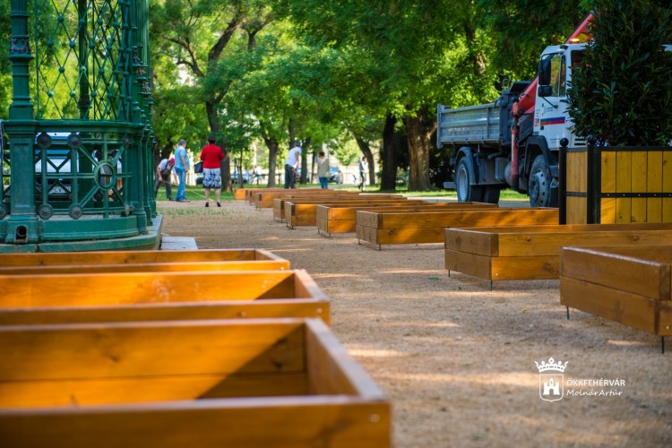 Fehérvári óvodások építenek kiskerteket a Zichy ligetben | Fejérvár